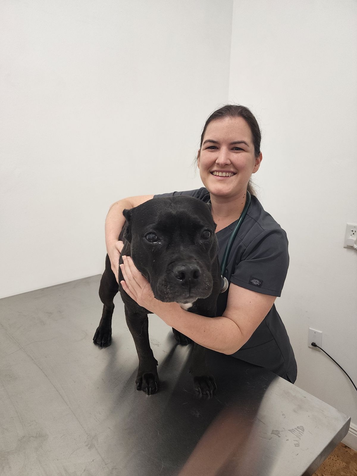 Dr Danielle Moragas, Veterinarian - Boca Raton Veterinary Clinic ...
